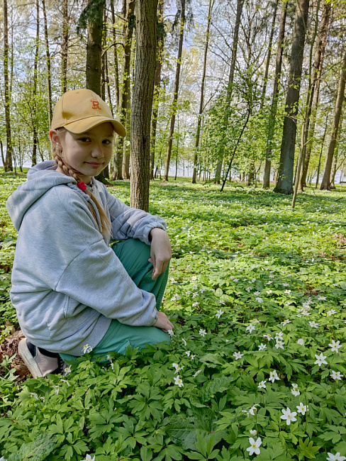 Толстовка Ase купить выкройку в интернет-магазине Helpersew