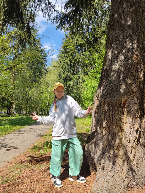 Толстовка Ase купить выкройку в интернет-магазине Helpersew